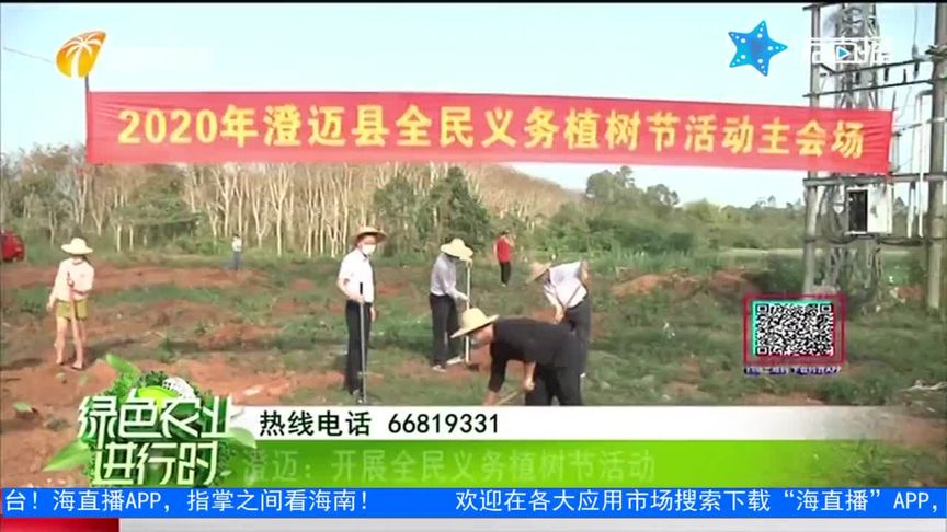 澄迈:开展全民义务植树节活动
