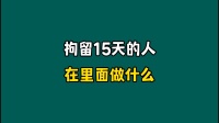 被拘留15天的人,在里面做什么