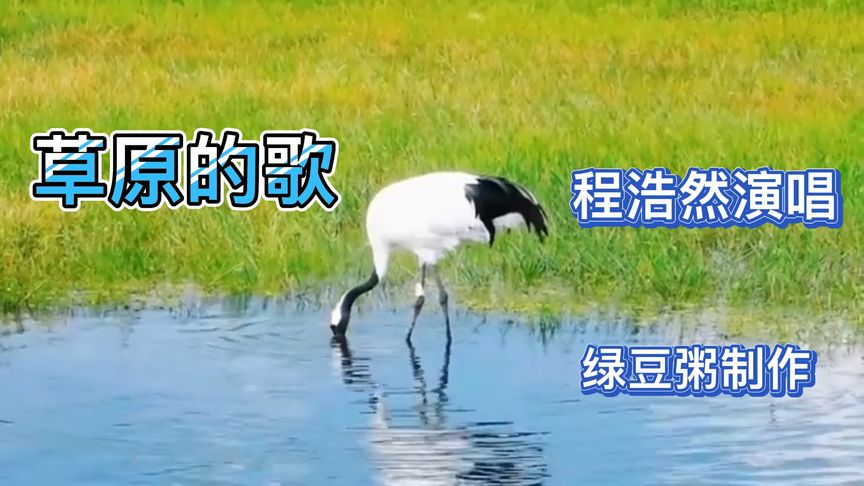 最美的风景在草原,美景如画的大草原山水之间骏马奔驰美在草原!