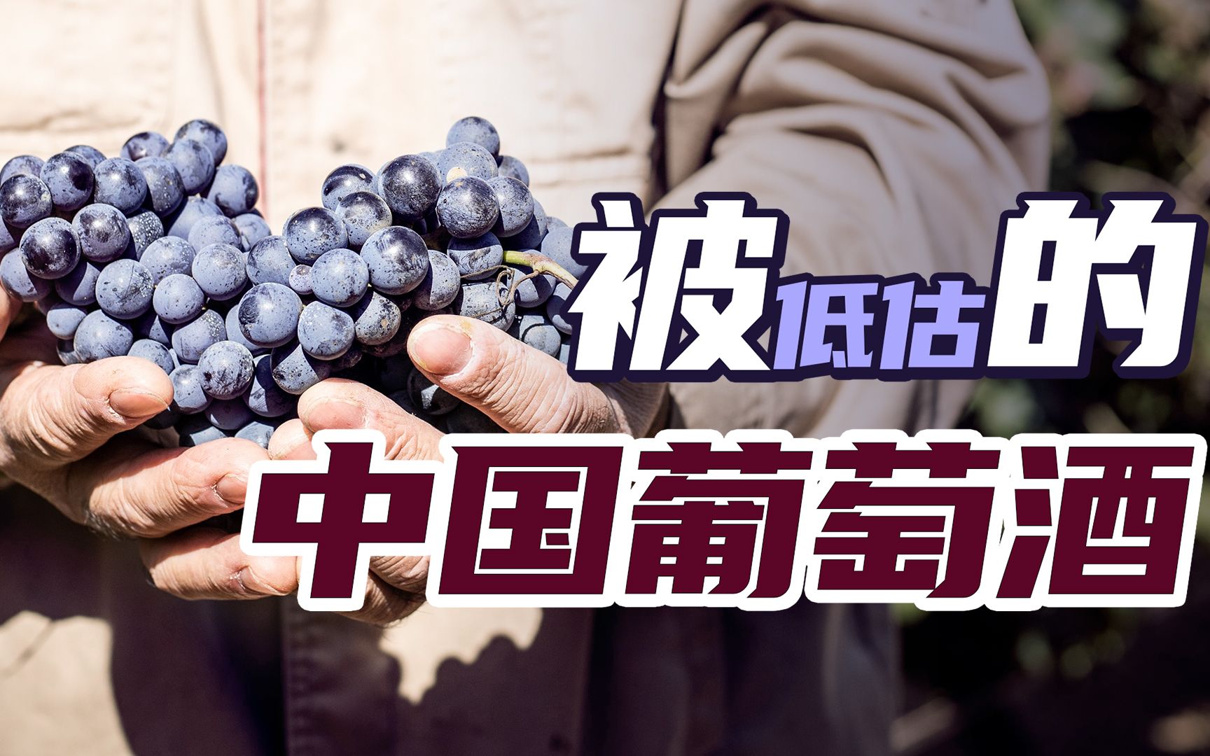 被低估的中国葡萄酒,既挣外汇也扶贫?