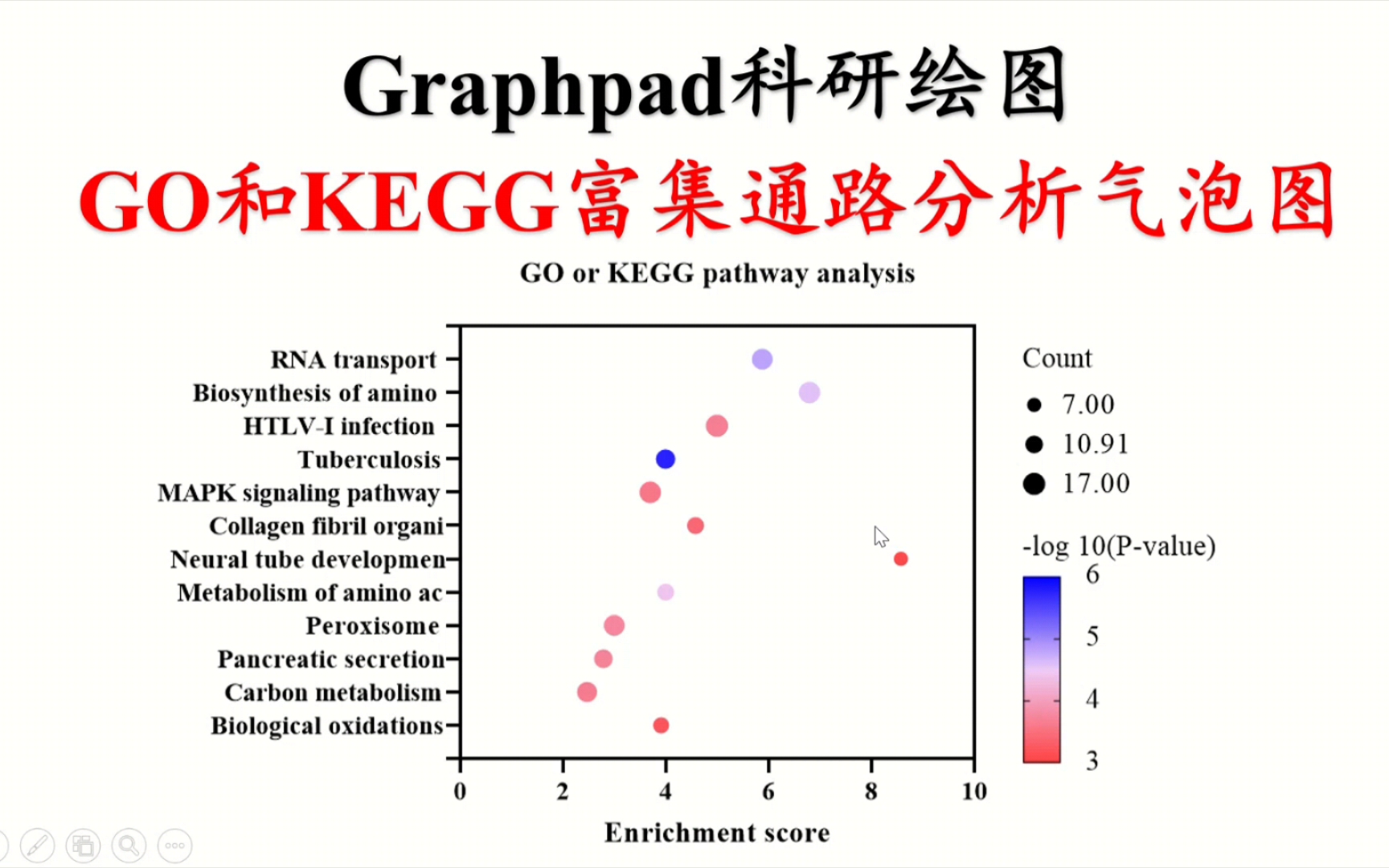 【生信图绘制】使用Graphpad绘制GO与KEGG通路气泡图