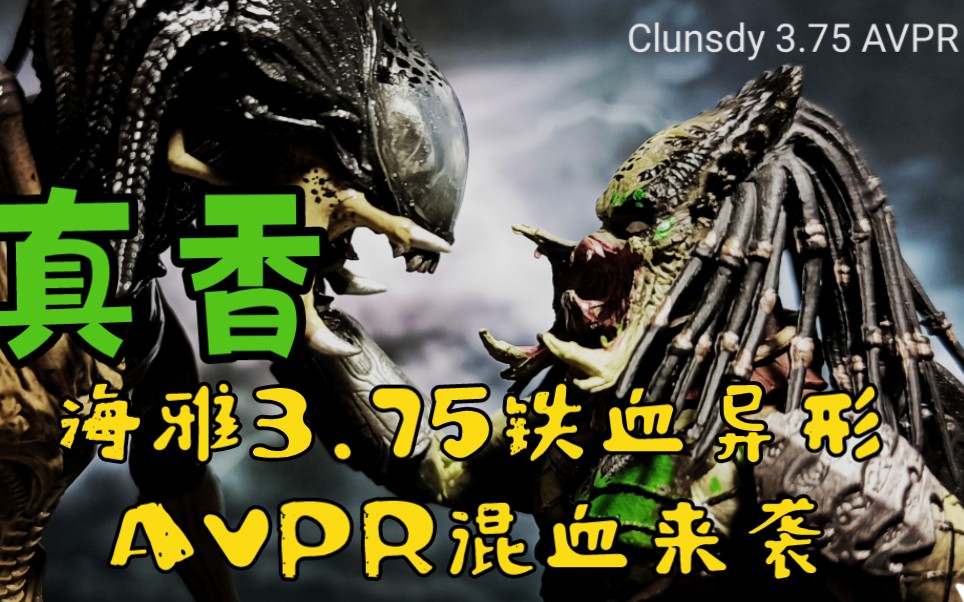 海雅3.75良心佳作AVPR混血异形评测+大战铁血