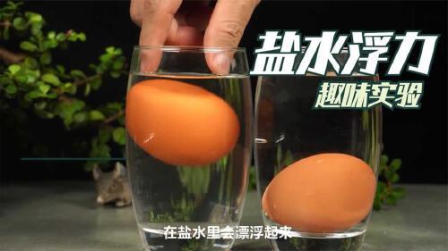 材料简单易操作,在家就能做小实验,点亮孩子们对知识的探索心!