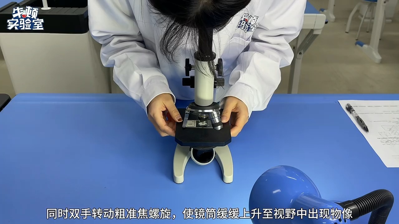 5-用显微镜观察人血涂片