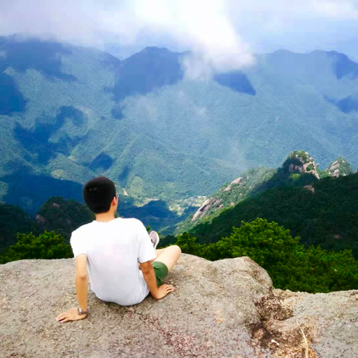 不抽华子但抽象 
