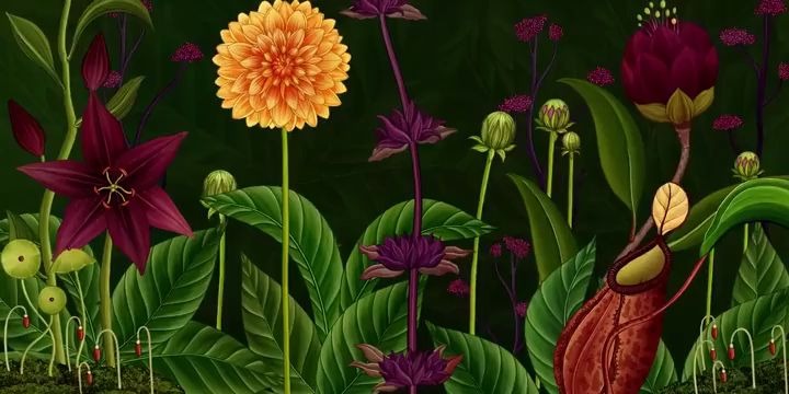 待到山花烂漫时,一起去听她的故事