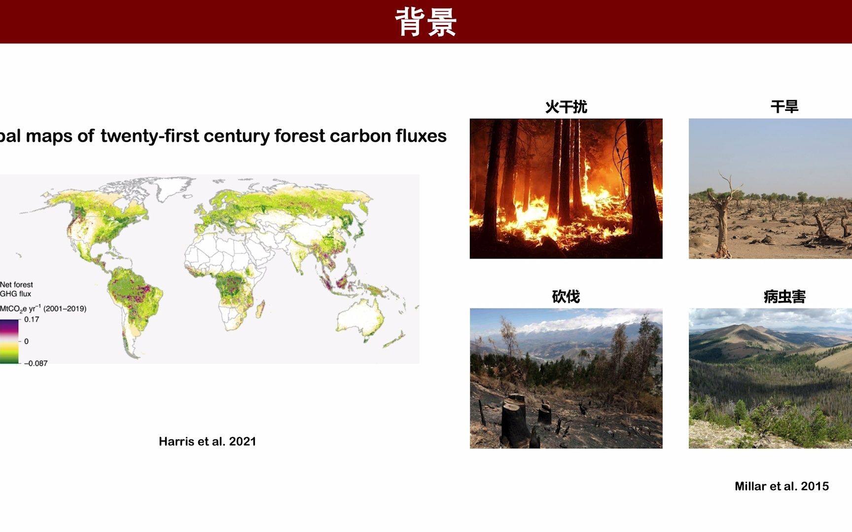 iMeta|中科院南土所褚海燕组揭示真菌对高寒林线多界生物群落的稳定...
