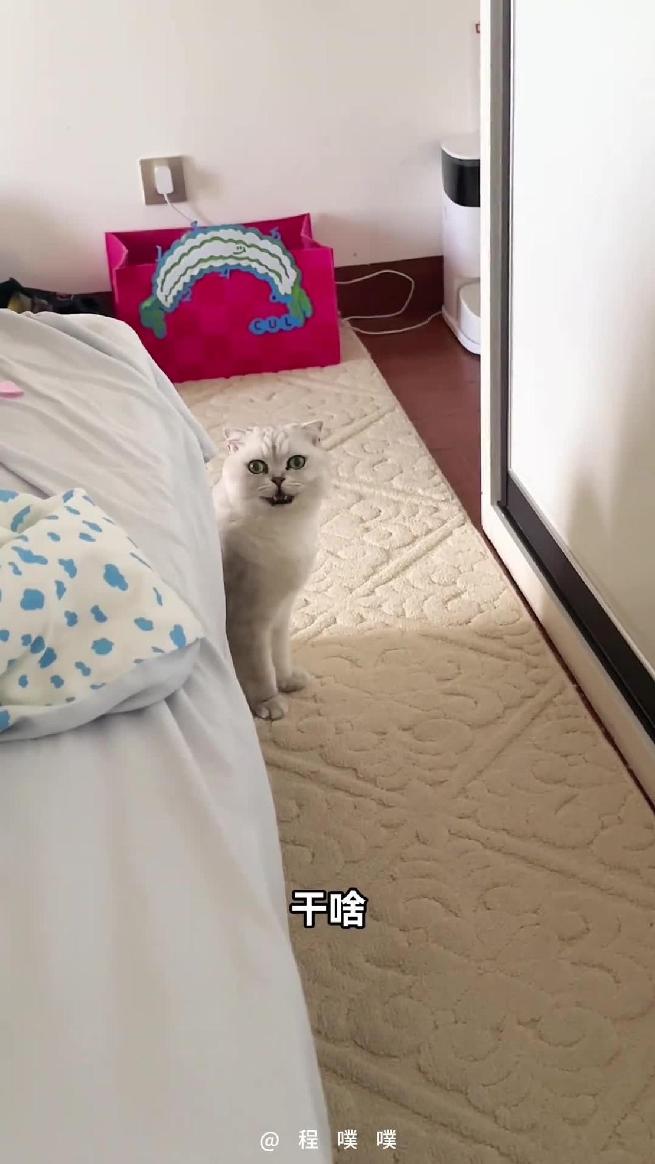 当今社会,多掌握一门语言,就能多一条出路