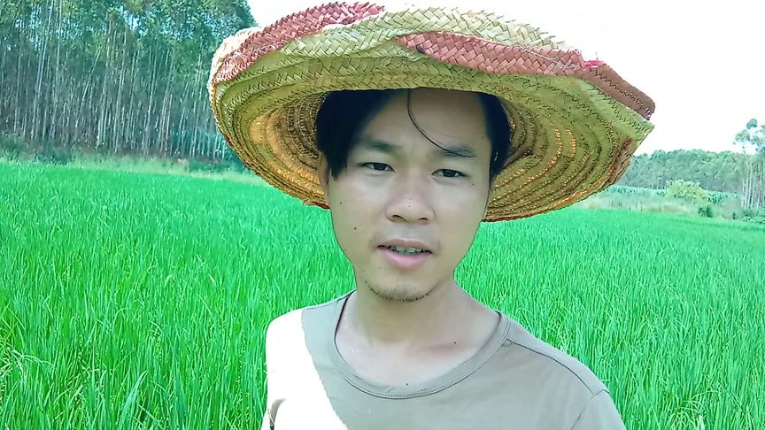 水稻怎么播种才收获最好?农村小伙说出自己见解,他说的准确吗?