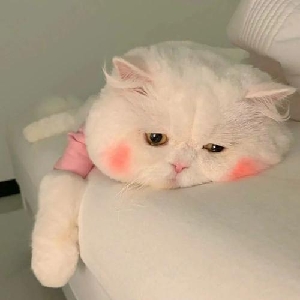 不玩数码 