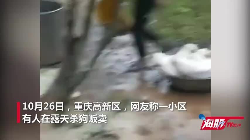 残忍重庆一小区大爷露天杀狗贩卖,幸亏志愿者及时赶到