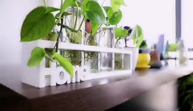 济南顶胜网络传媒有限公司