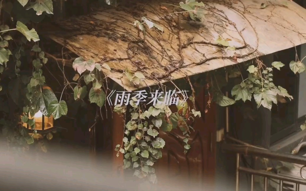 [TF家族]三代路演《雨季来临》