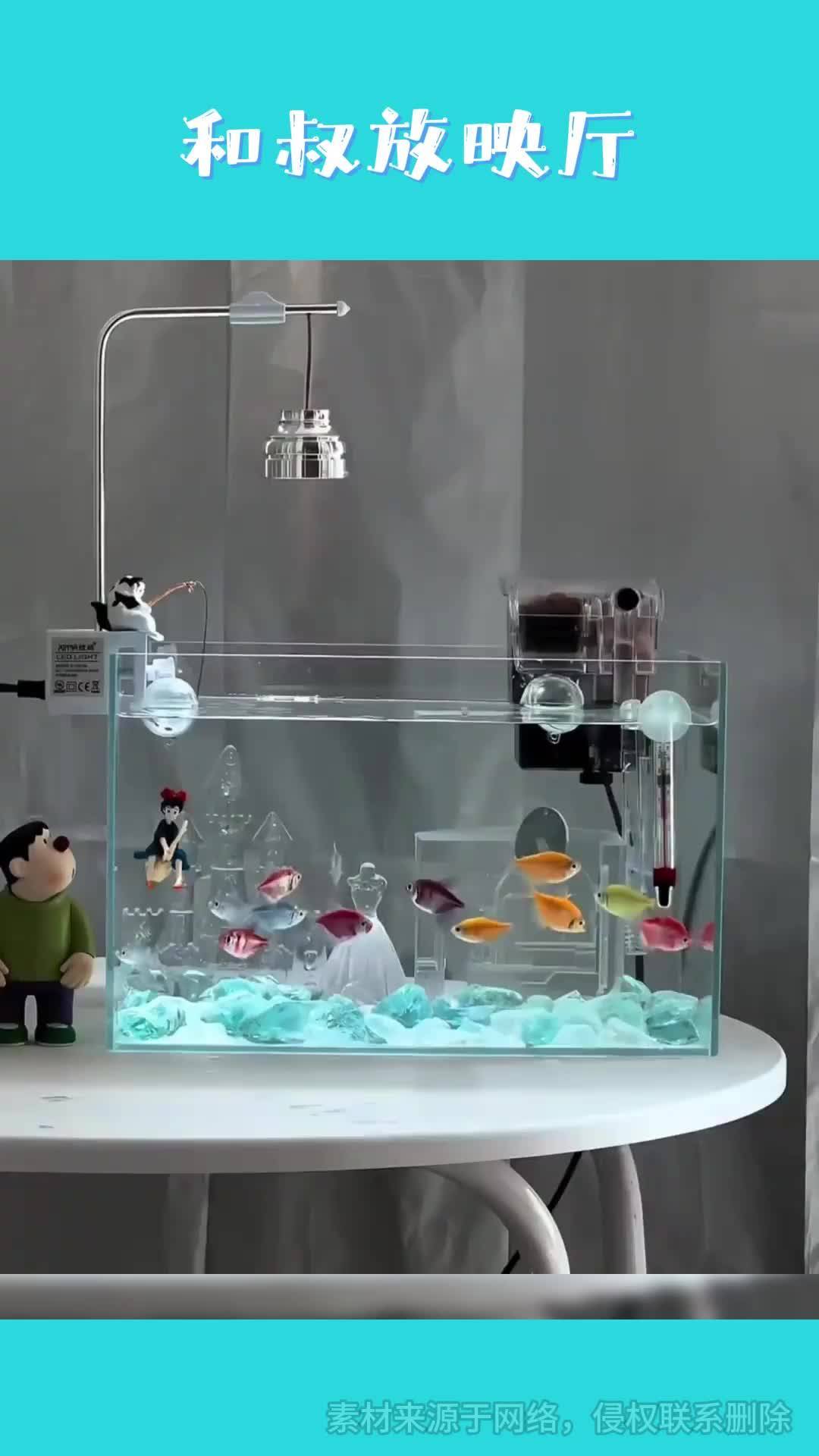 网友自己设计的鱼缸造景,摆放在家里的客厅,成为亮点!