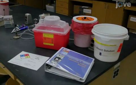 生物学实验 | 无菌实验室技术:平皿法 | Aseptic Laboratory Techniques ...