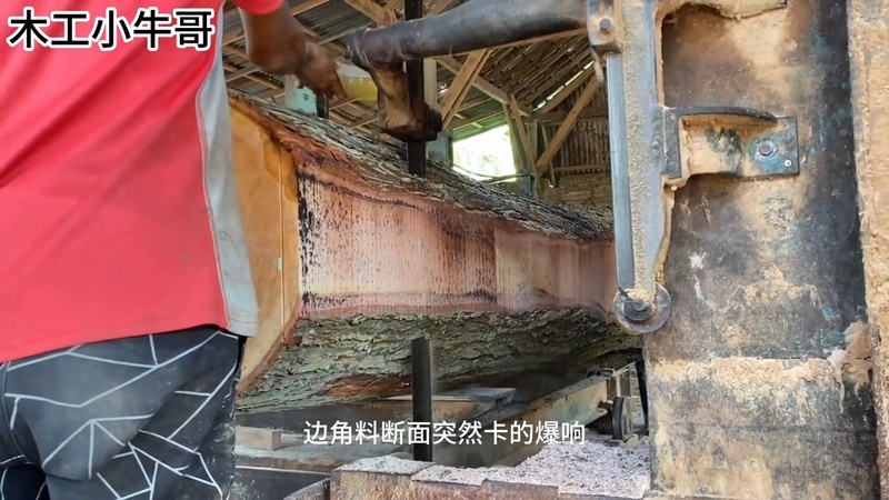 锯割一根特别的红木原木