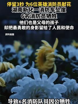 请停留3秒,为6位英雄消防员献花,湖南新化一消防车坠崖,6名消防员...