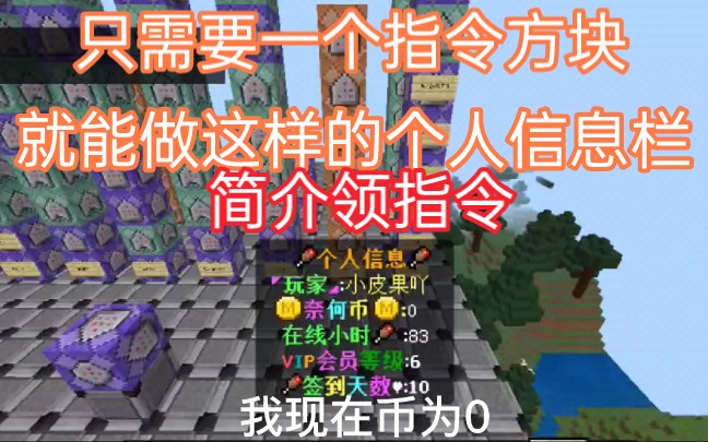 我的世界服务器指令教程:只需一个指令方块就能用T显做出个人信息栏...