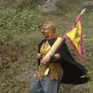 专业巡山小钻风 