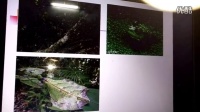 浅谈信息技术与教学的深度融合_标清