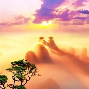 华夏天融 