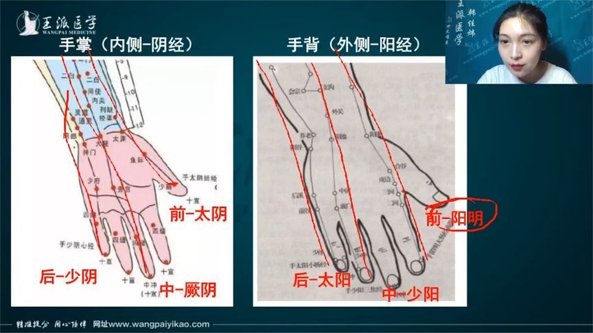 十二经脉的循行路线,教你快速掌握其规律所在,非常详细!