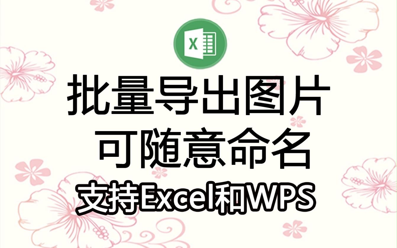 从工作表中批量导出图片,用指定列的值命名文件 罗刚君 Excel插件