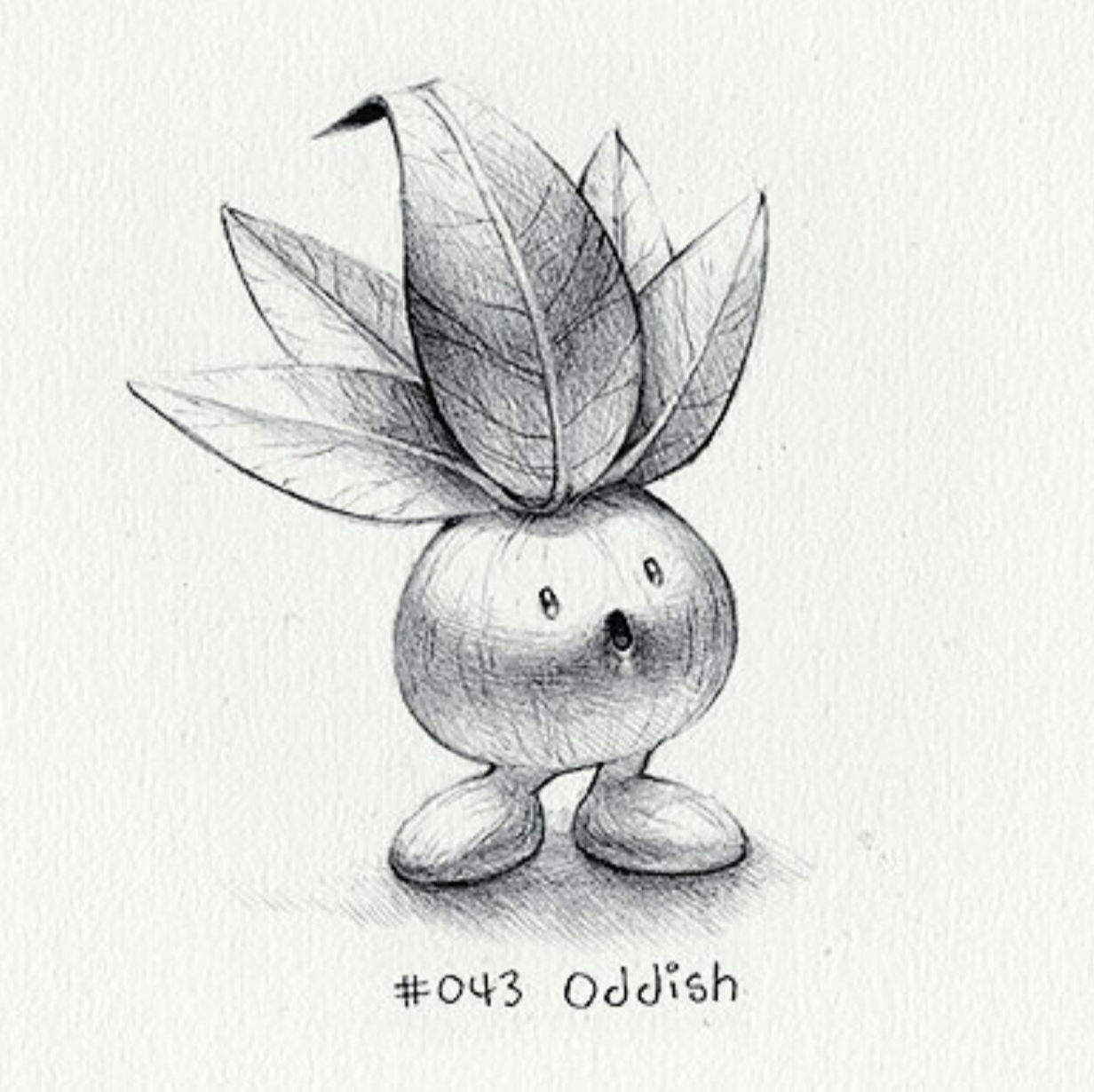 neoddish 