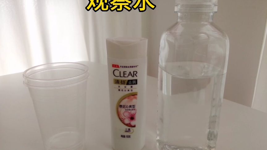 小学科学一年级下册《观察水》,在家也可以学习的科学课。