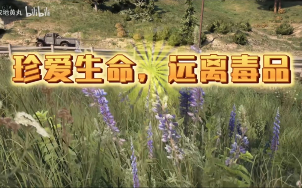 GTAOL——戒毒广告