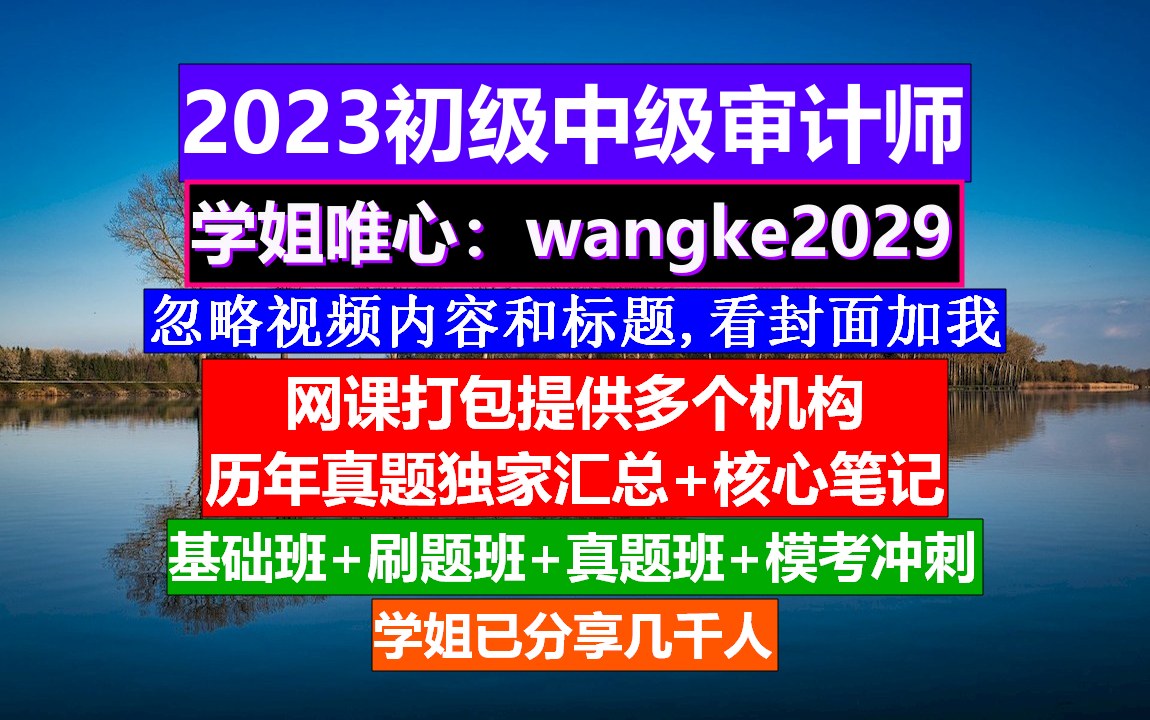 永更-高级审计师,审计师考试真题及答案,经济师和审计师哪个含金量高
