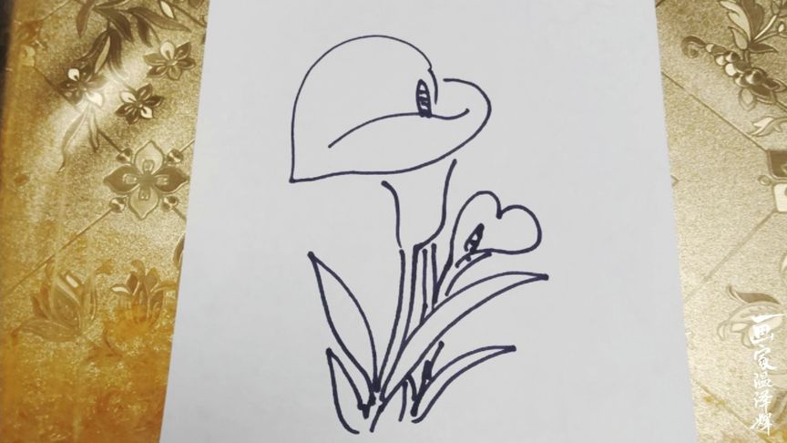 一看就会的简笔画:花的画法