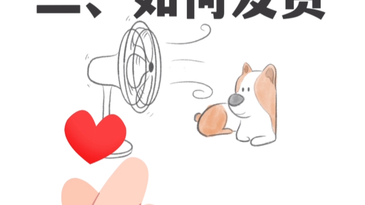 手机如何一件代发?一条视频教会你!