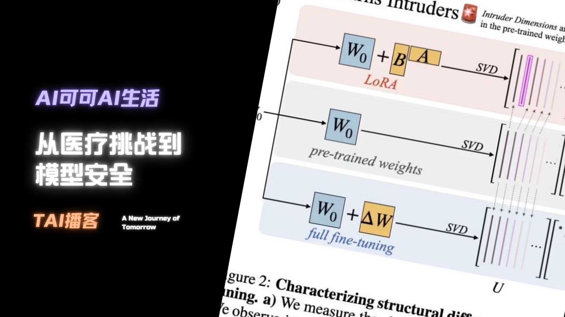 [TAI快报]从医疗挑战到模型安全