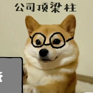 招投标云南 