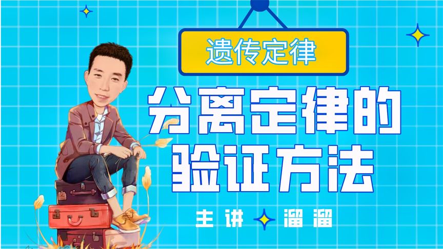分离定律的验证方法-高考-高中生物-遗传定律