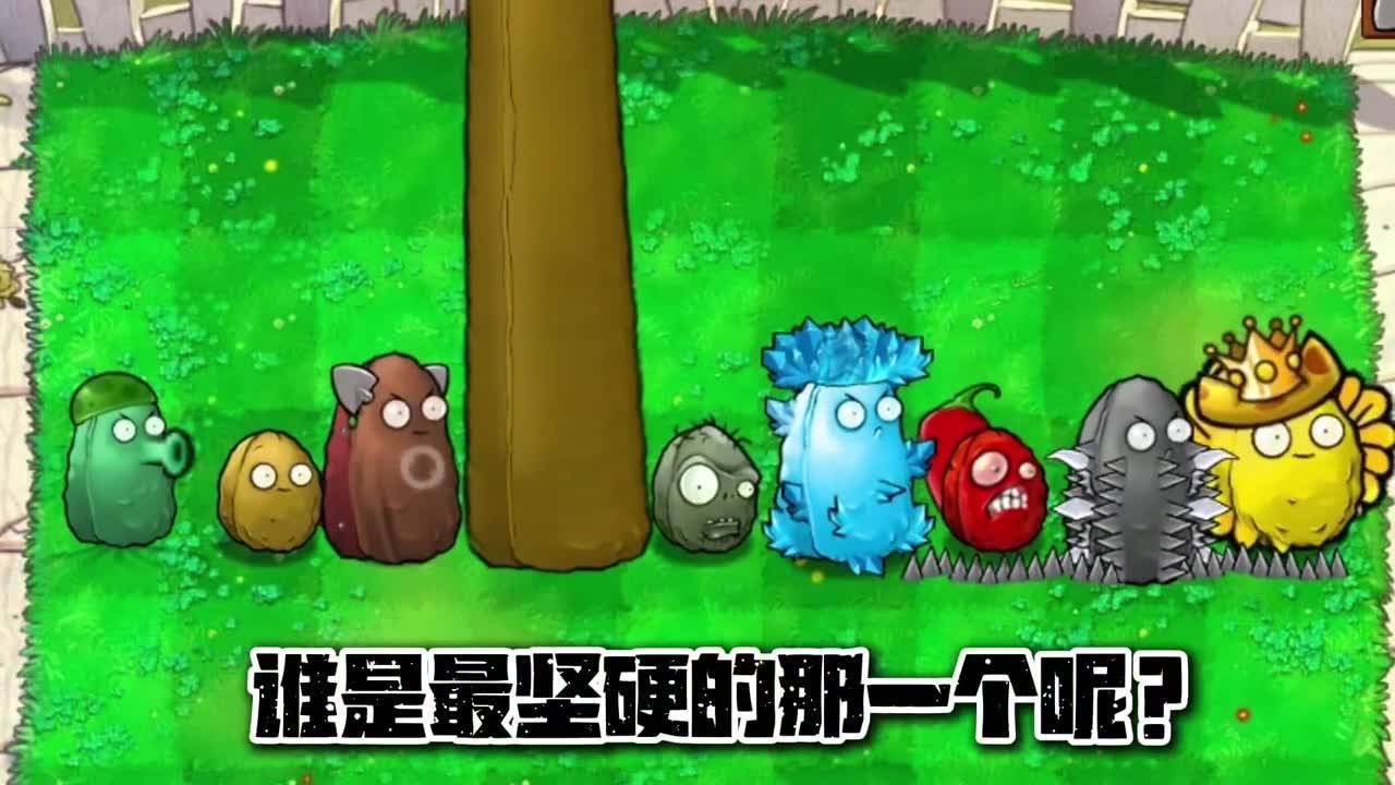 植物大战僵尸:哪一种坚果最坚硬呢