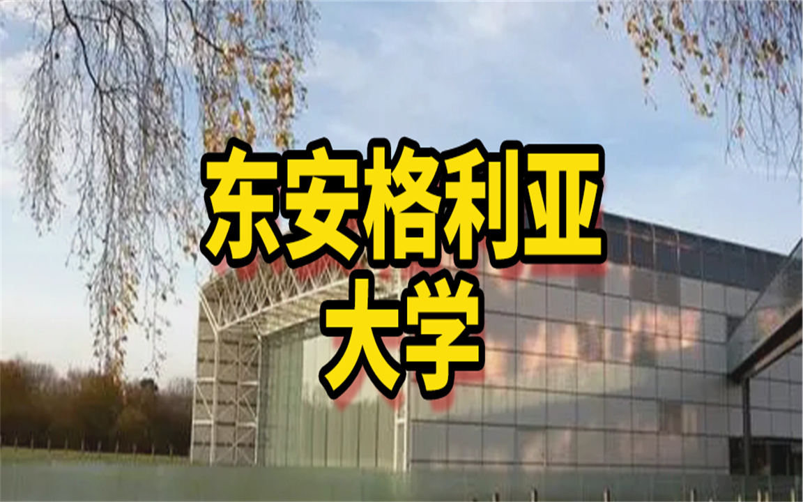 东安格利亚大学媒体法律、政策和实践法学硕士申请条件&学费费用&...