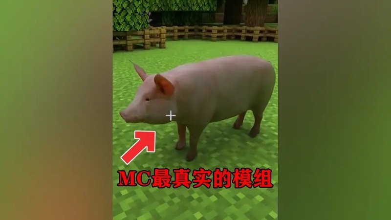 MC最真实的模组! 我的世界超新星 我的世界建筑 游戏内容风向标