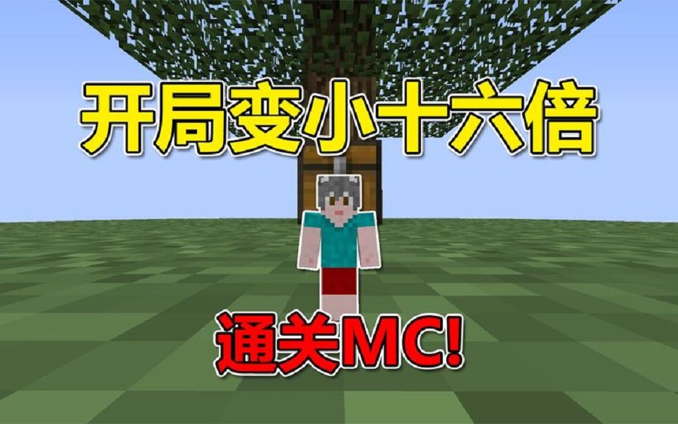 我的世界:开局被缩小十六倍?通关MC!