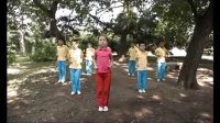海淀区小学武术基本动作操
