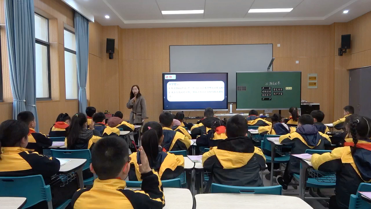 《 海底世界》 优质公开课 部编版三下 最新