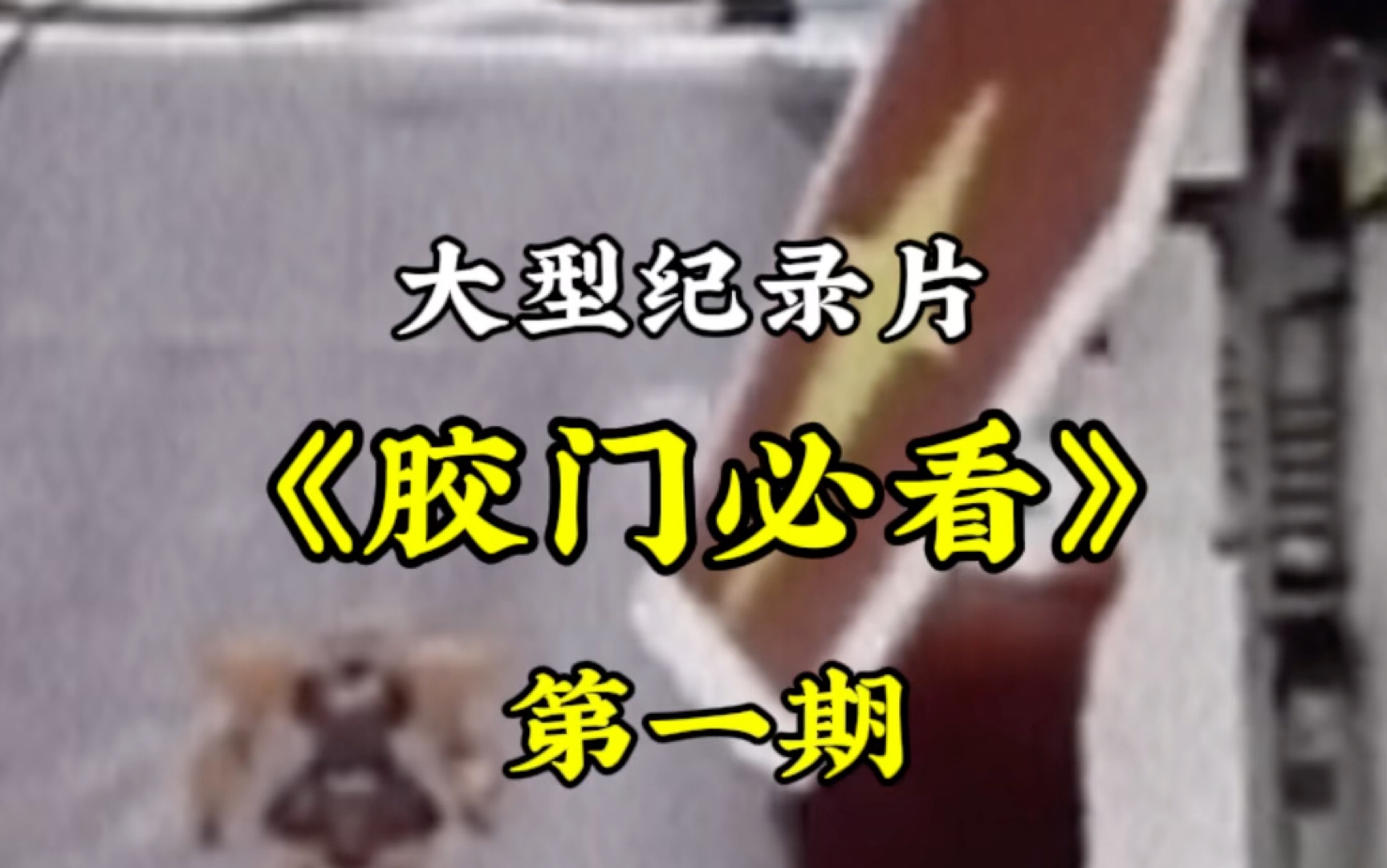 《胶门必看》模型尺寸大盘点第一期