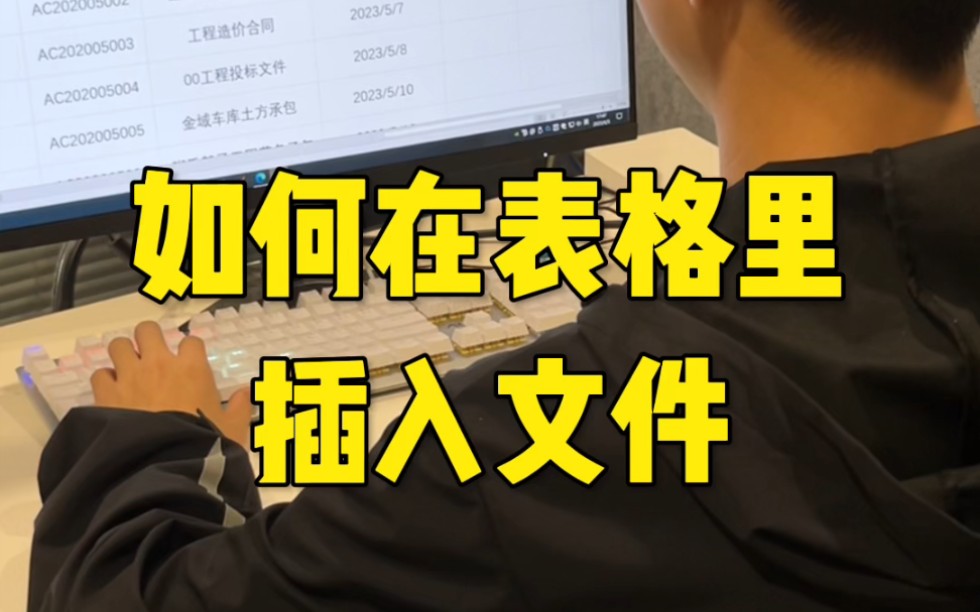 如何在表格里插入文件