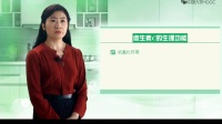 维生素的故事 抗氧化能手Vc
