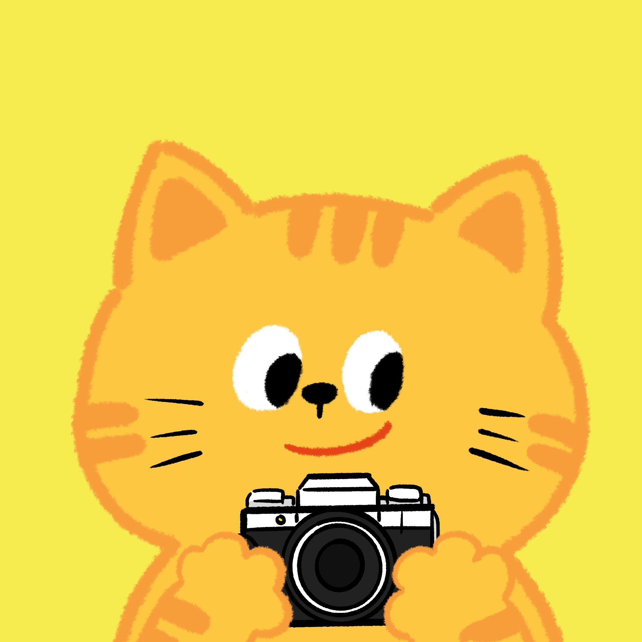 爱吃橘猫的猪 