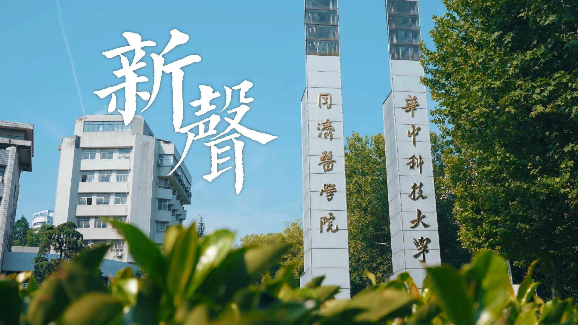 2025年同济医学院药学院招生宣传片