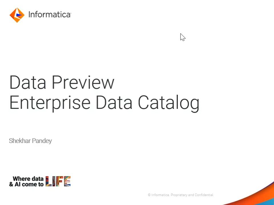 Informatica EDC中的数据预览