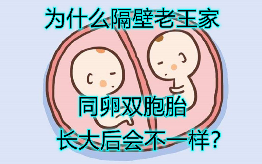 【新人教】4.2 基因表达与性状的关系