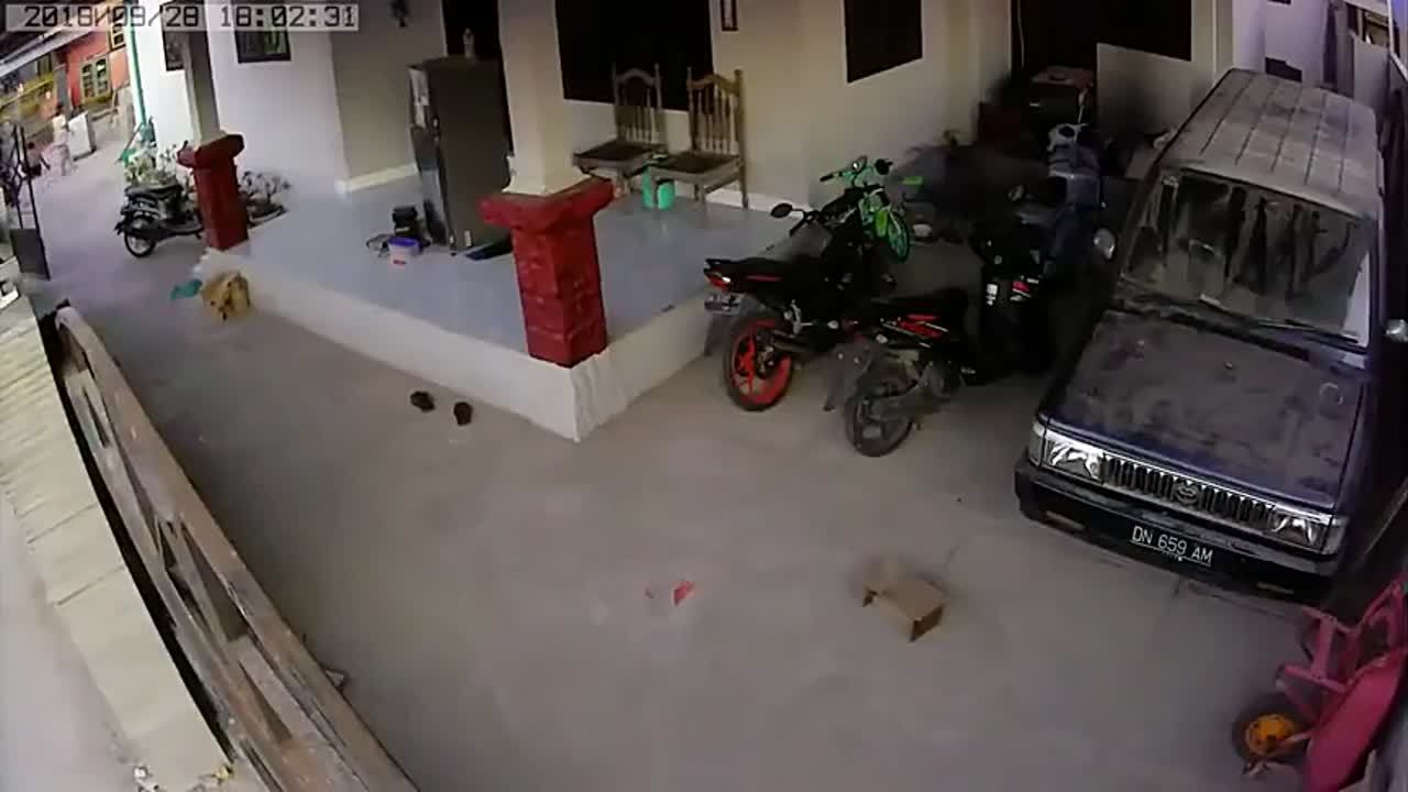 地震后几分钟海啸袭击印度尼西亚,一所房屋的监控拍下的可怕画面